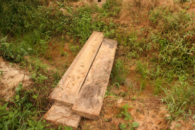 Sustainable Oil Palm Farming / Harvesting paths and access - Akvopedia