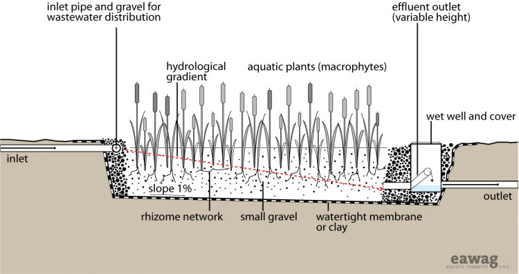 Horizontal Subsurface Flow Constructed Wetland - Akvopedia