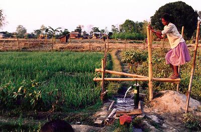 Treadle pump - Akvopedia